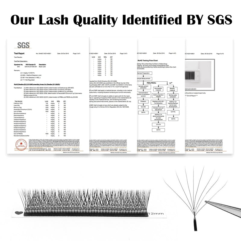 0.07mm 8D W Shape Eyelash Extension – Winky Beauty Lashes